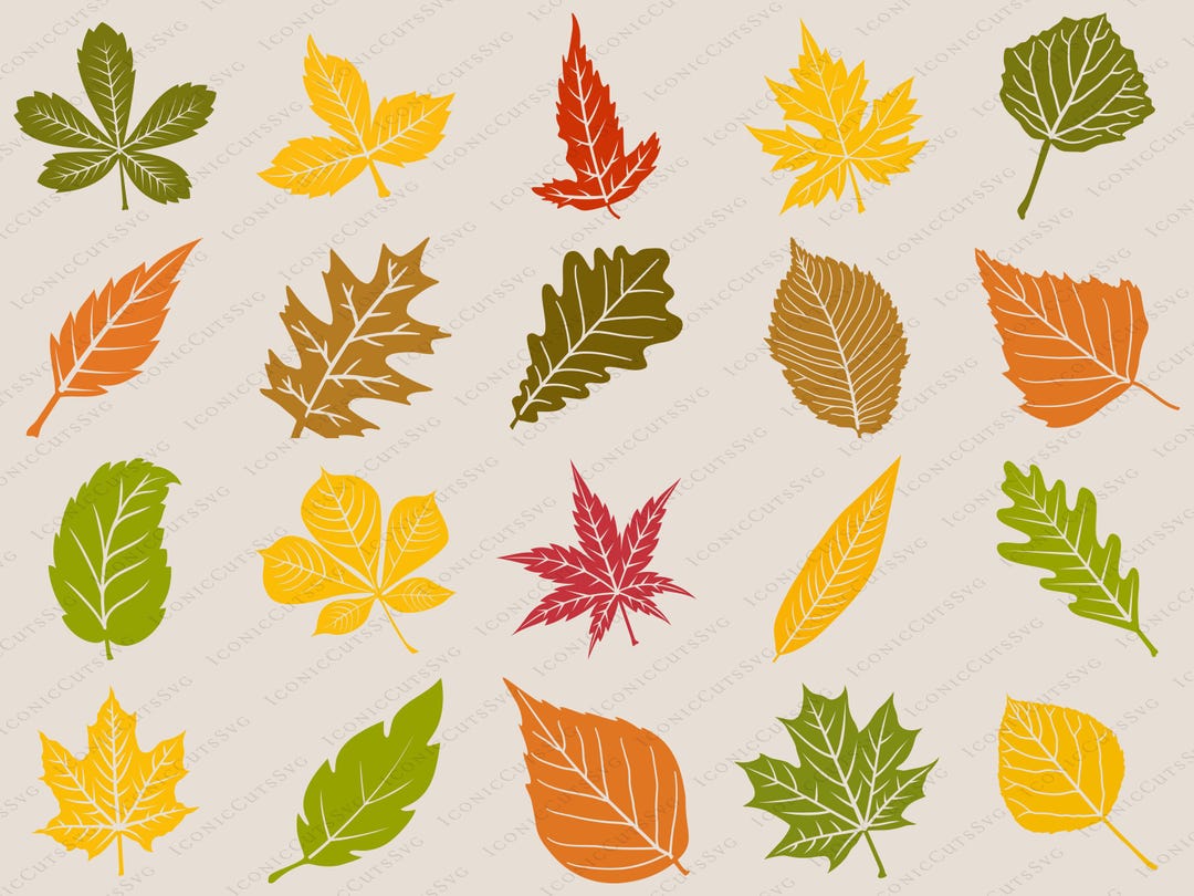 Fall Leaves Svg, Fall Svg, Fall Leaf Svg Bundle, Fall Png, Dxf, Clipart ...