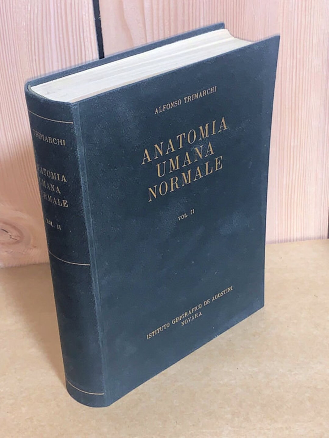 Italian Anatomy Book Anatomia Umana Normale, Normal Human Anatomy ...