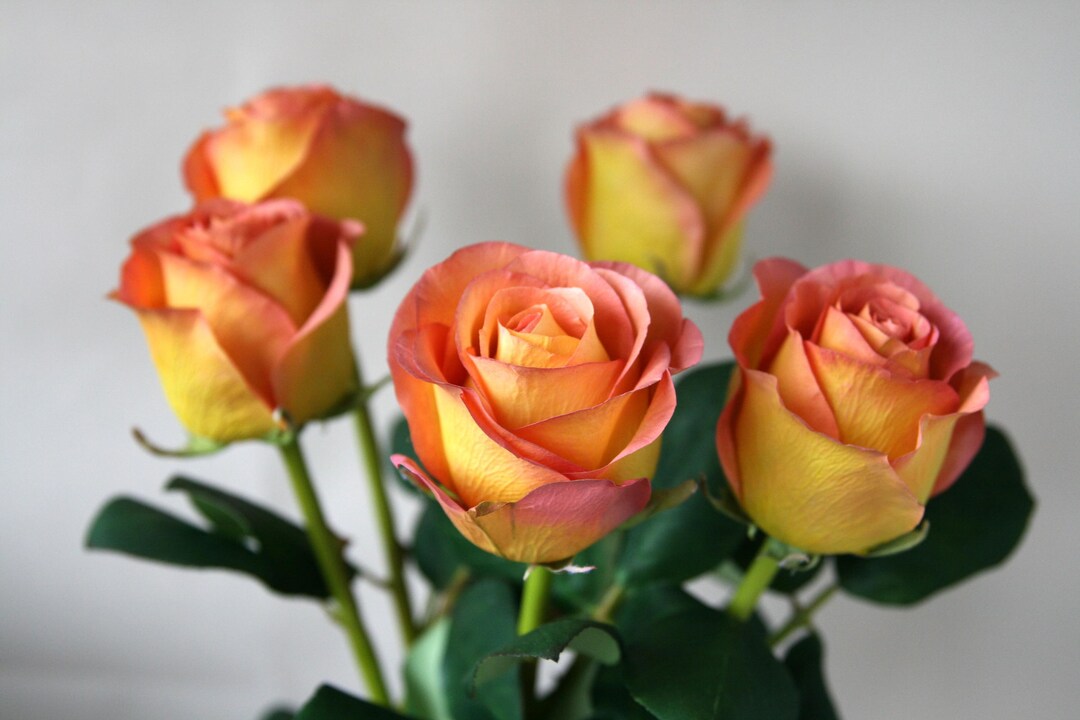 Hand Painted Yellow Rose Arrangement, Cold Porcelain Clay Flower - Etsy