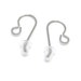 10 Titanium Ear Hooks. Allergy Free! - Etsy