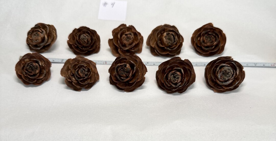 Cedar Roses, 10 Count, Deodar Cedar Tree Cones for Wreaths Crafts ...