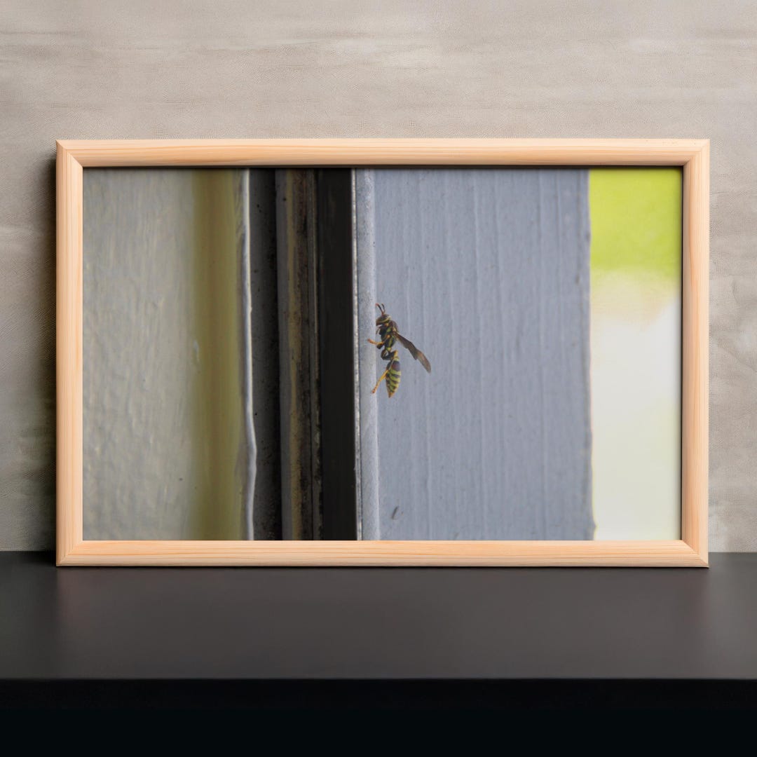 Wasp Side View Digital Print, Wall Art, Insect Art, Photography ...