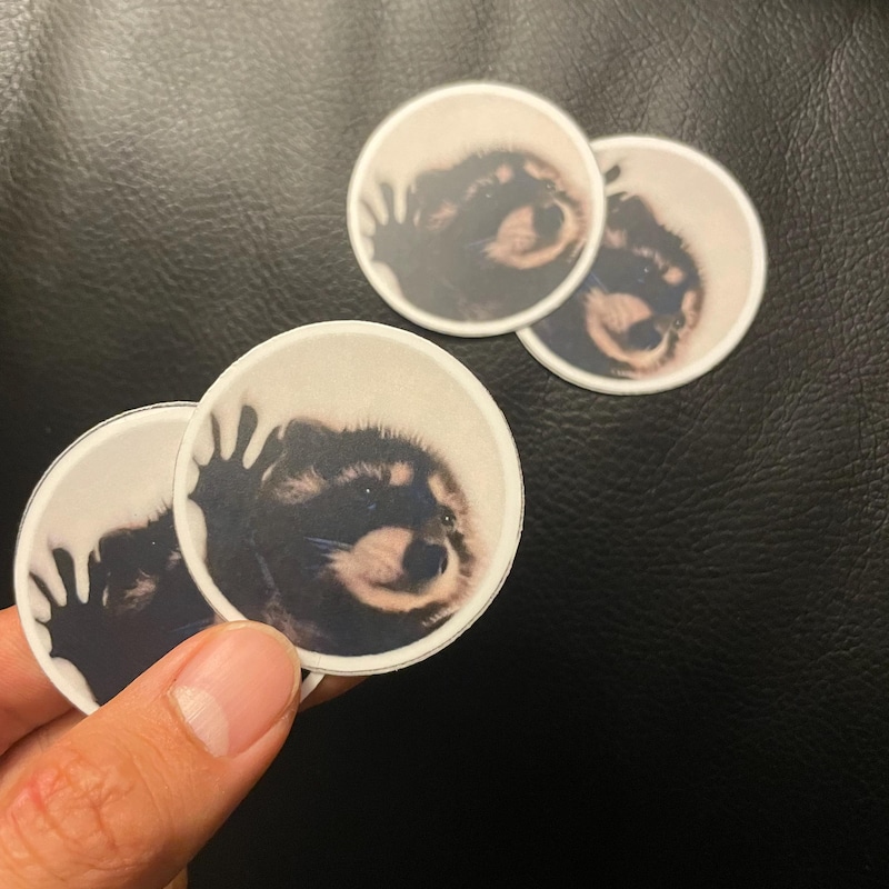 Dancing Raccoon Sticker - Etsy