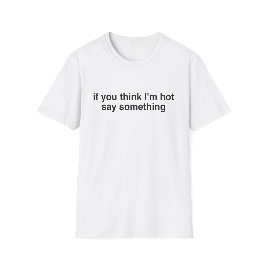 Funny Meme Tshirt, If You Think I'm Hot Say Something Joke Tee, Gift ...