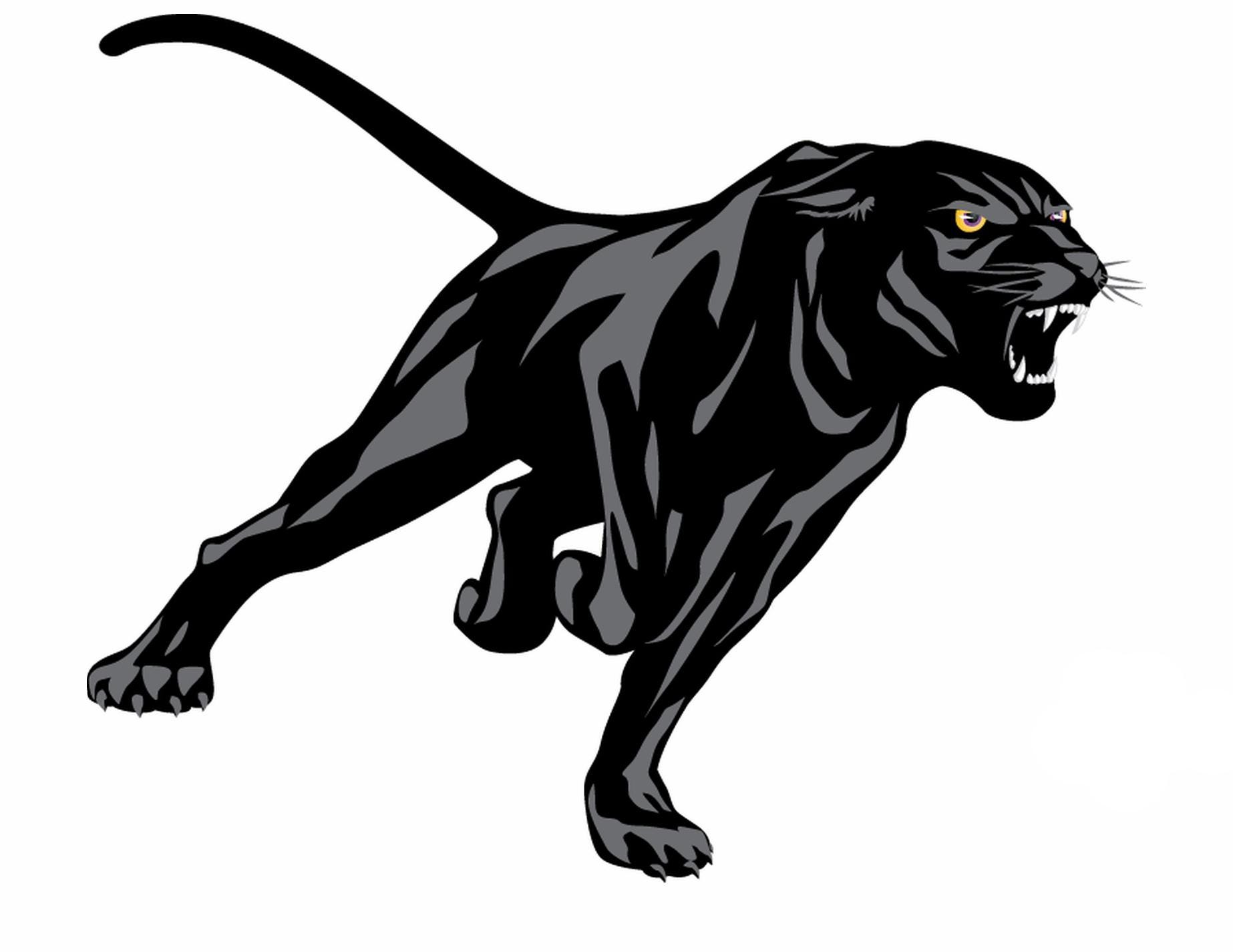 Prairie View A&M University SVG Bundle - Etsy