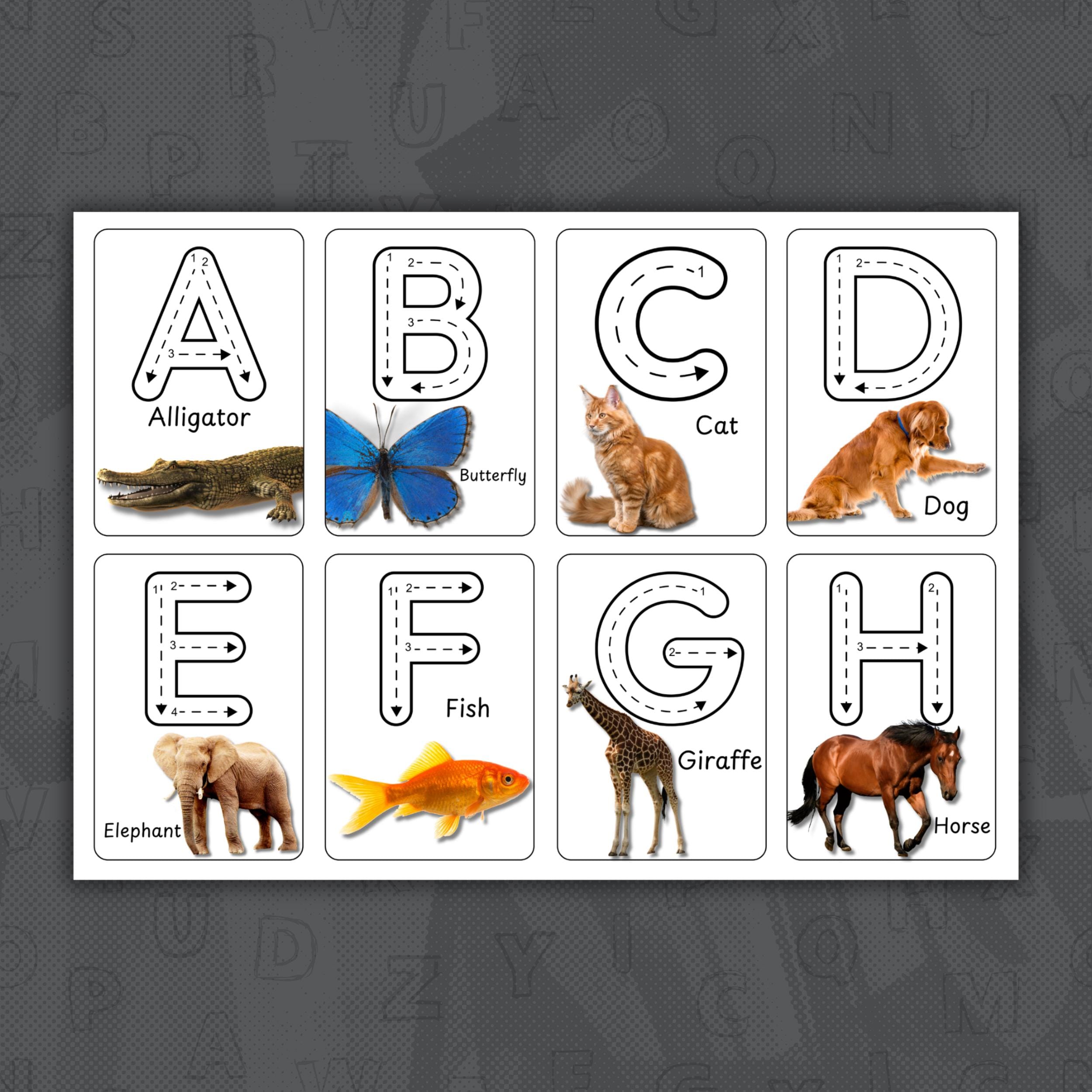 Alphabet Animals Uppercase Tracing Activity Workbook, Flashcards ...