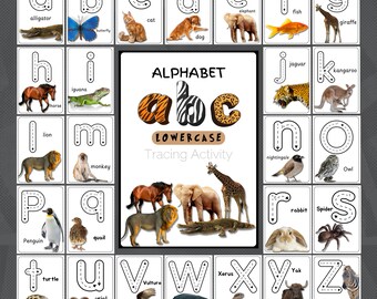 Alphabet Animals Uppercase Tracing Activity Workbook, Flashcards ...