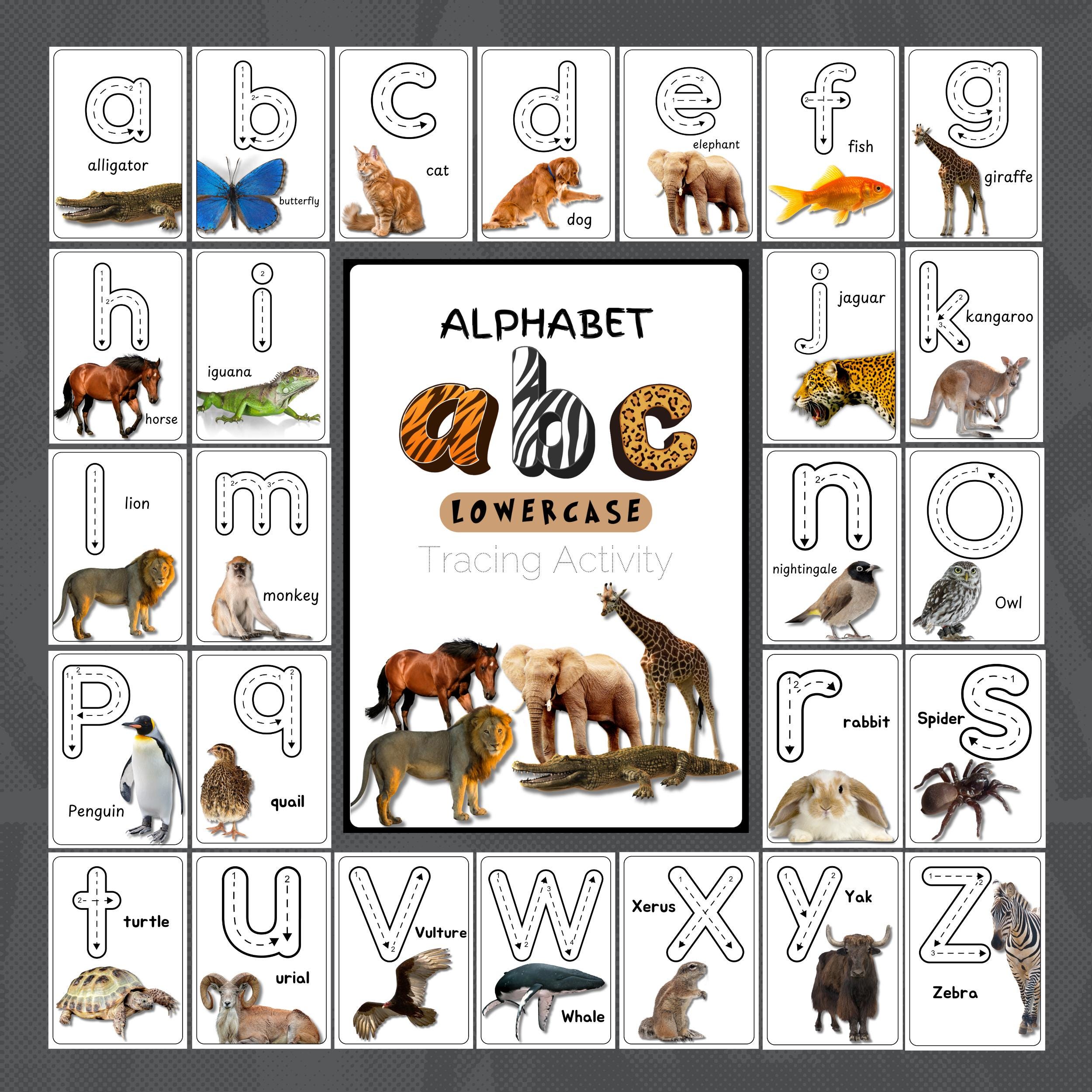 Alphabet Animals Lowercase Tracing Activity Workbook, Flashcards ...