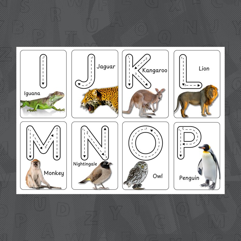 Alphabet Animals Uppercase Tracing Activity Workbook, Flashcards ...