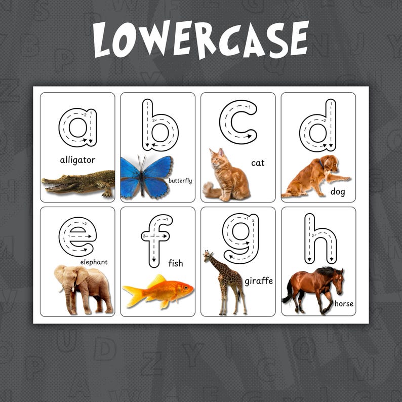 Alphabet Animals Lowercase Tracing Activity Workbook, Flashcards ...