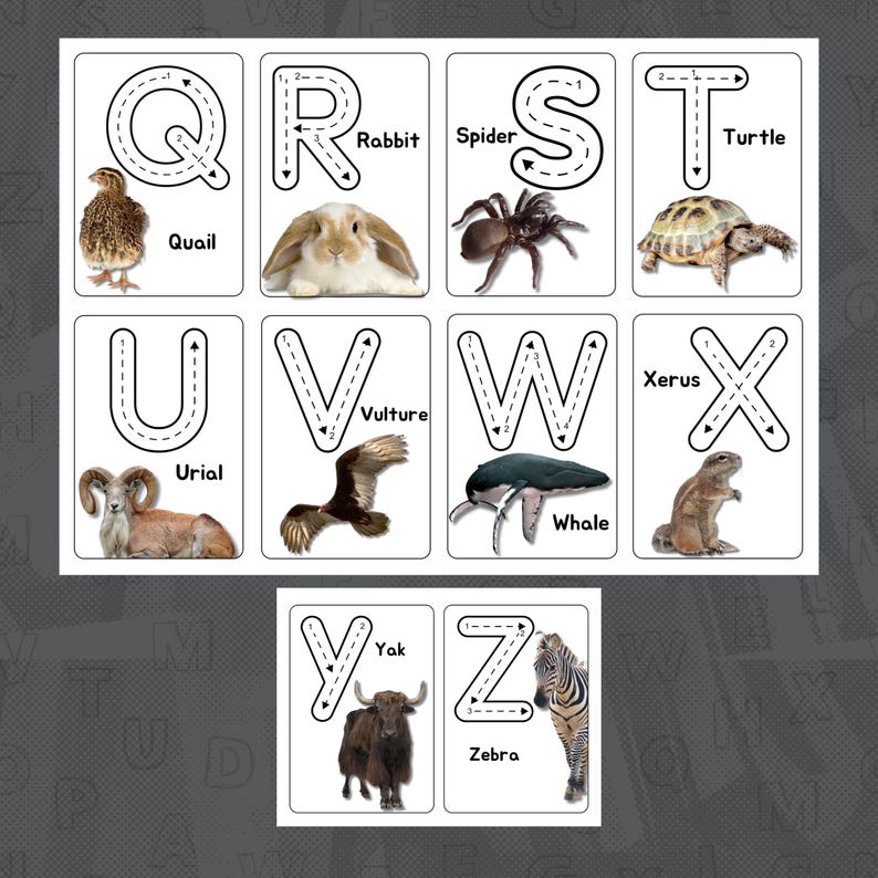 Alphabet Animals Uppercase Tracing Activity Workbook, Flashcards ...