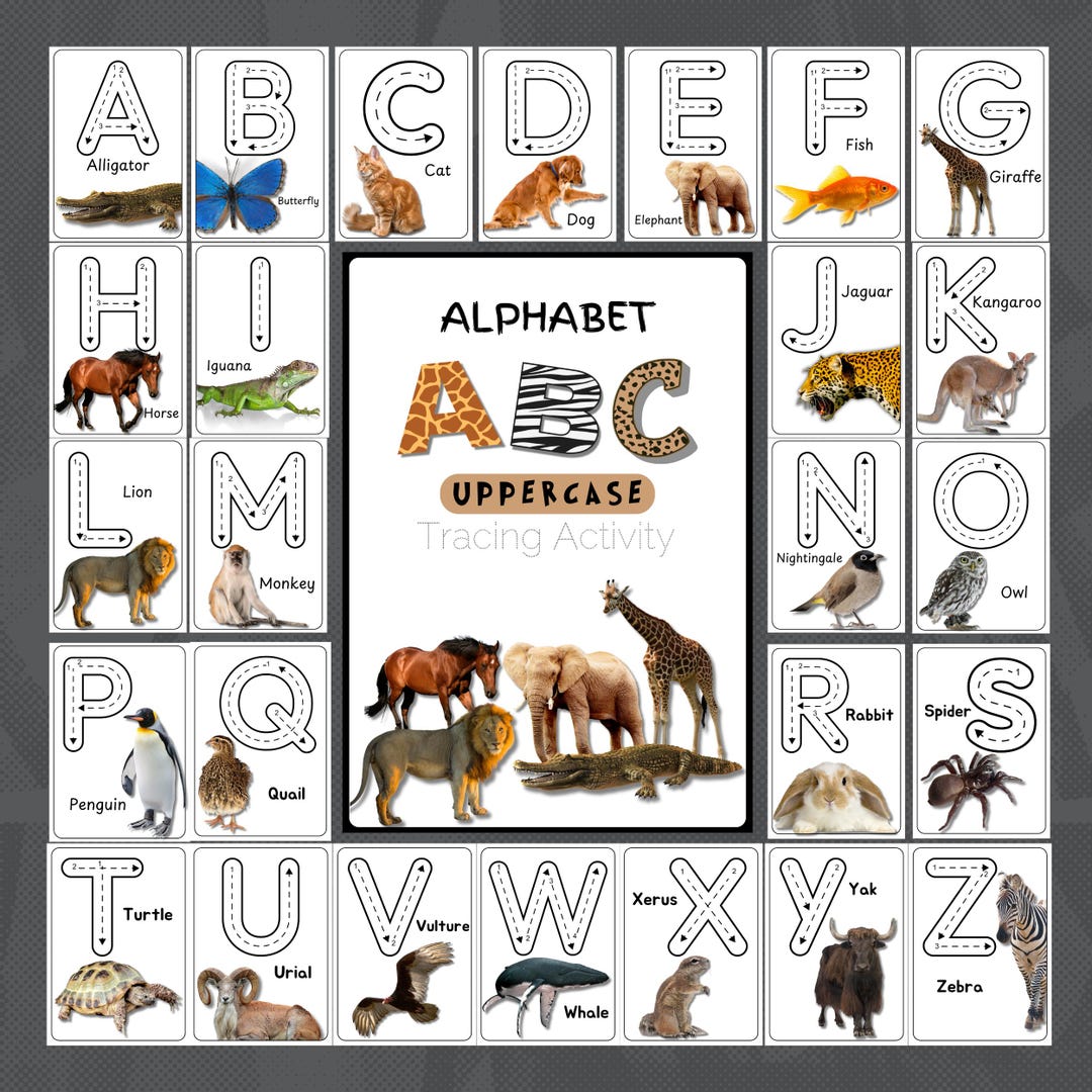 Alphabet Animals Uppercase Tracing Activity Workbook, Flashcards ...