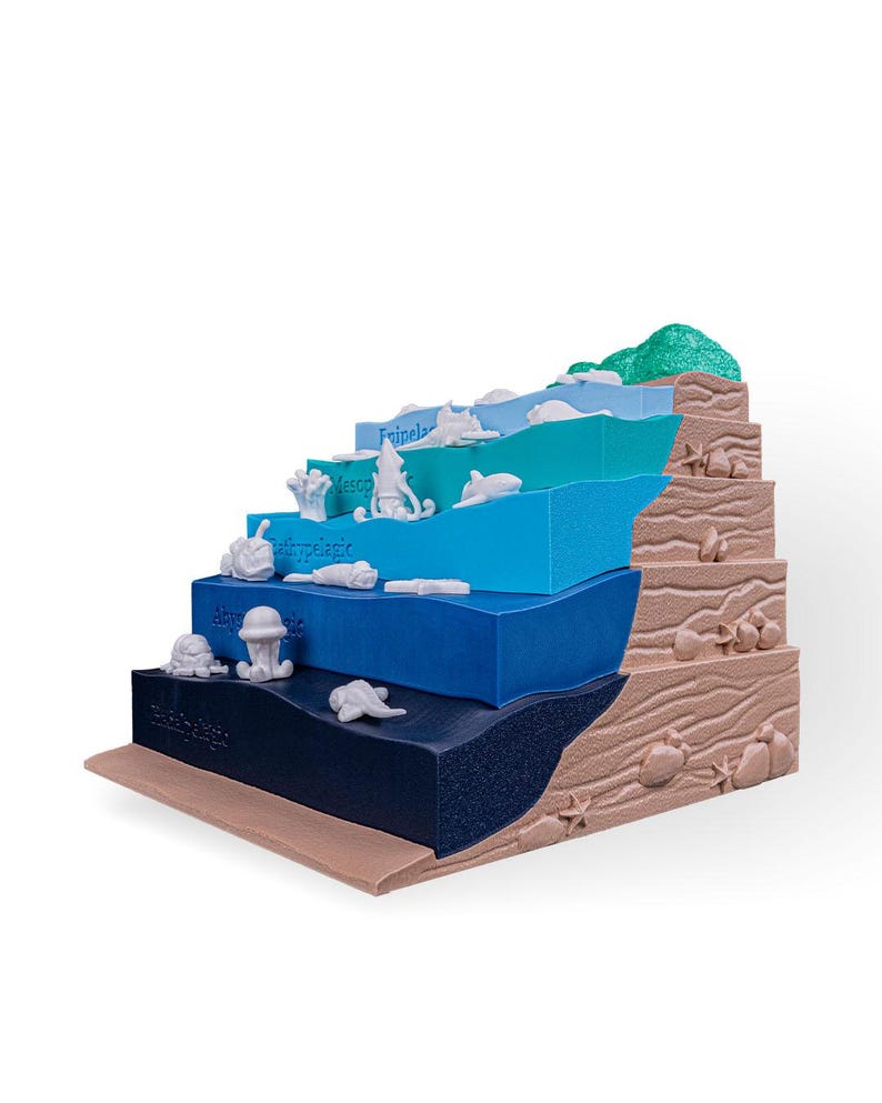 3D Ocean Depth Model | Marine Biology, Pelagic Zones Display - Etsy