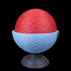 3D Earth Layers Model Educational STEM Toy Journey to the Center of the ...