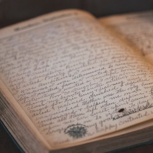 PDF Handwritten Vintage Diary 1929-1930 - Adeline Barnes - Digital ...