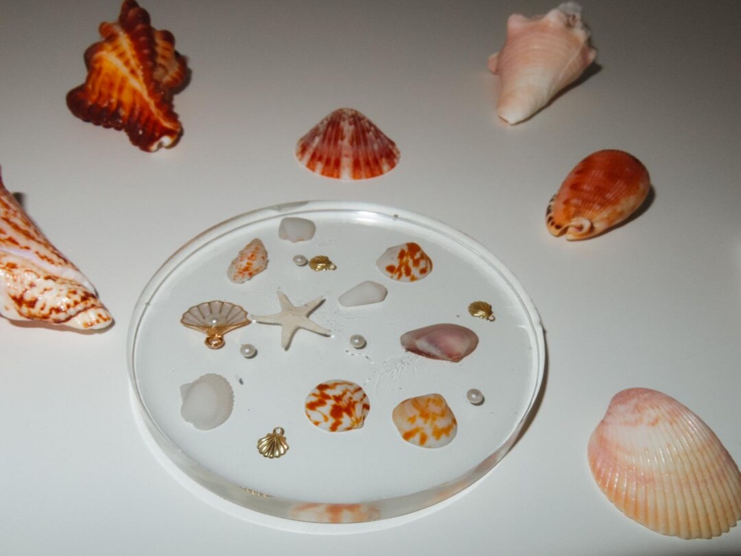 Seashell Coaster, Coastal Coaster, Coaster, Beachy Coaster, Shell ...