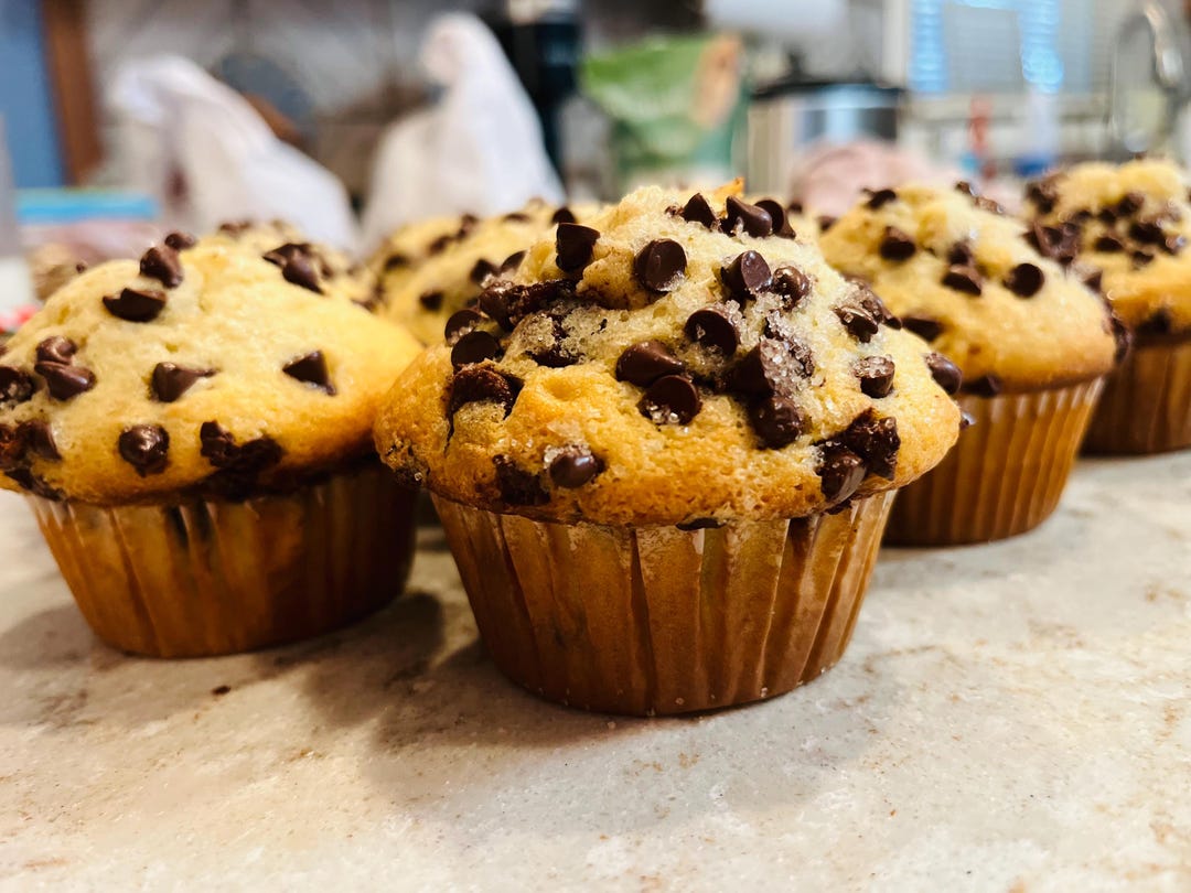 Homemade Chocolate Chip Muffins - Etsy