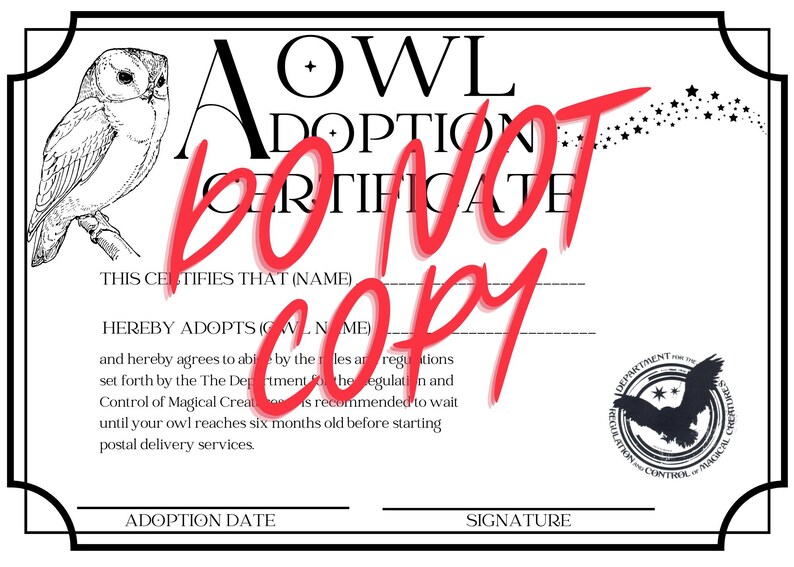 Magical Owl Adoption Certificate for Wizards - Etsy