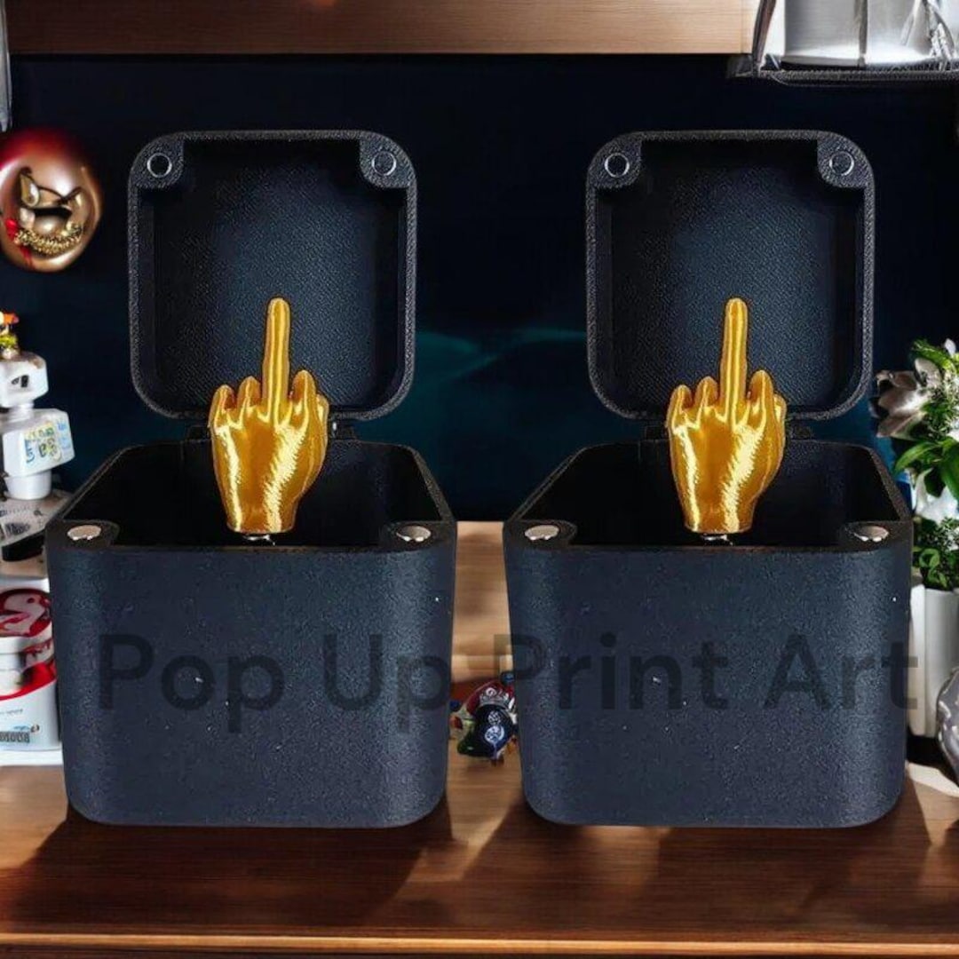 Surprise Middle Finger in a Box Middle Finger Box Office Desk ...
