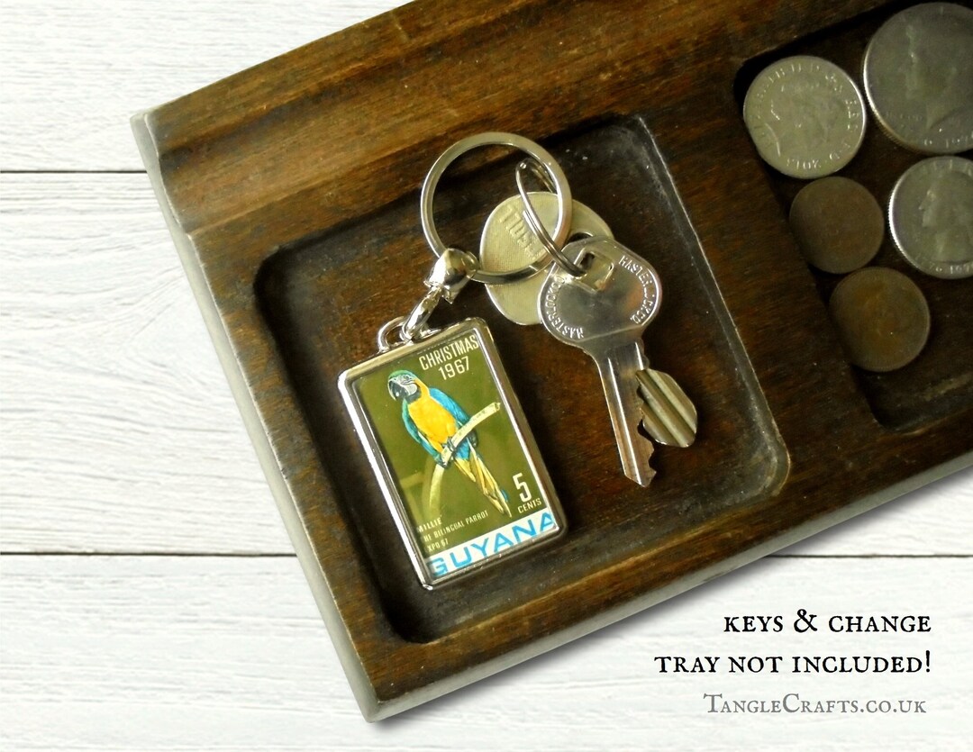 Macaw Keychain, Blue & Yellow Parrot Keyring - Made With Real 1967 ...