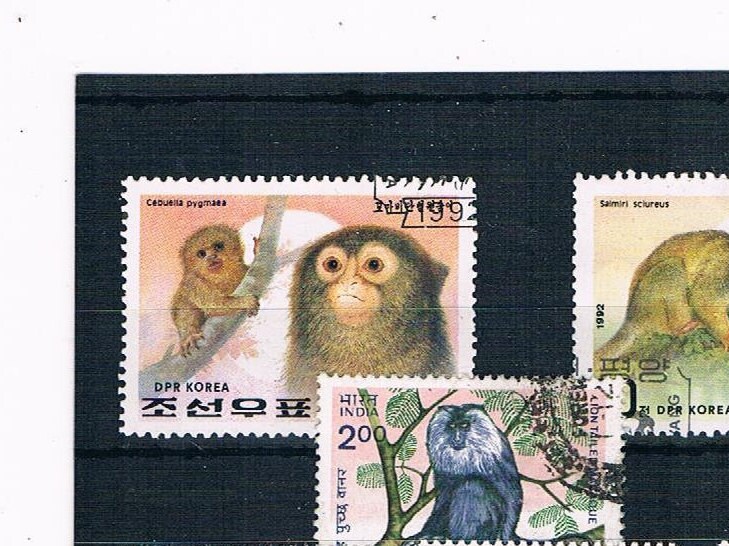 Monkey Postage Stamps - mixed countries inc part set from Guinea