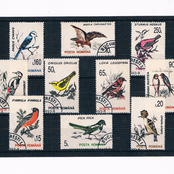 Swallow Stamp - Etsy