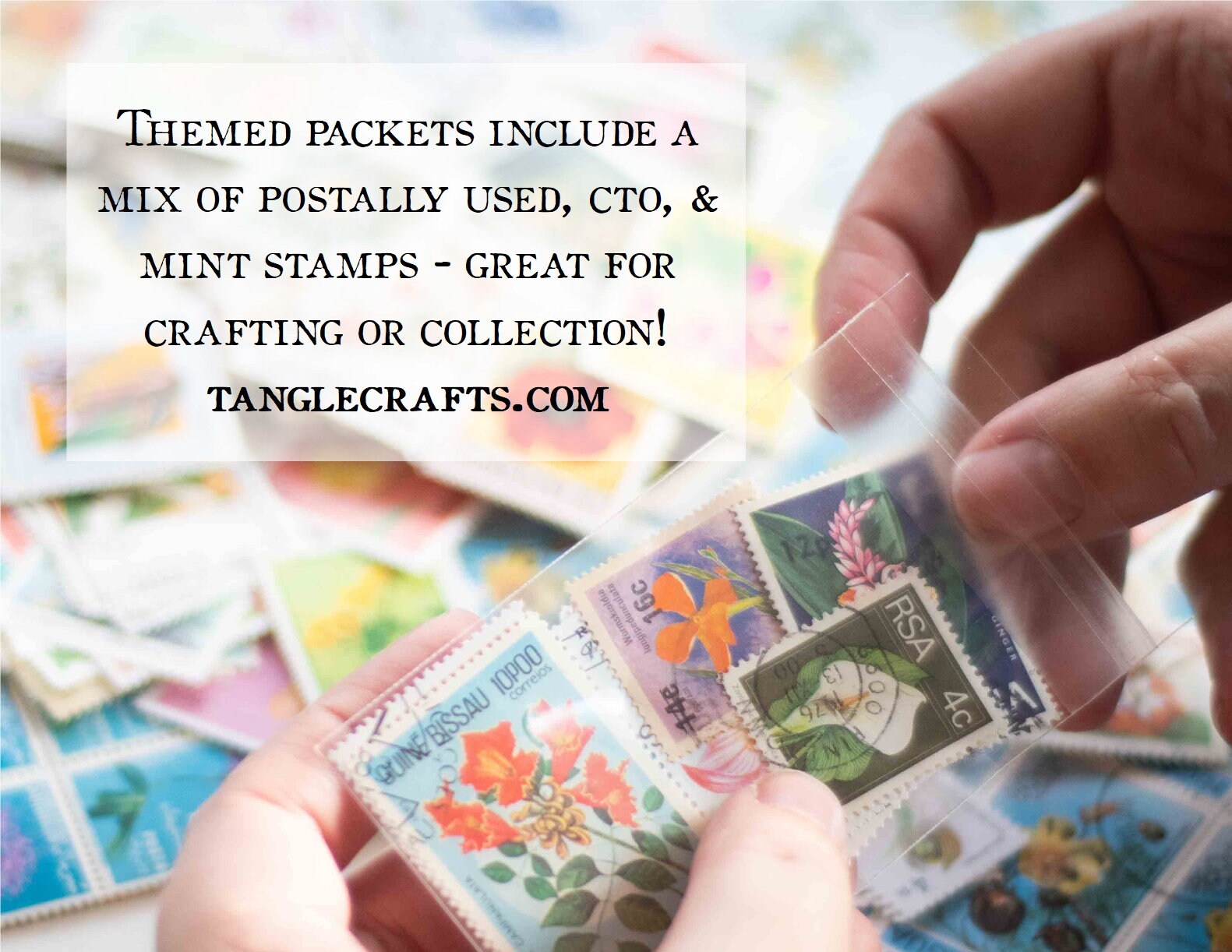 40 or 80 Fish postage stamps - sealife thematic stamp packet