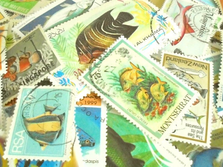 40 or 80 Fish postage stamps - sealife thematic stamp packet