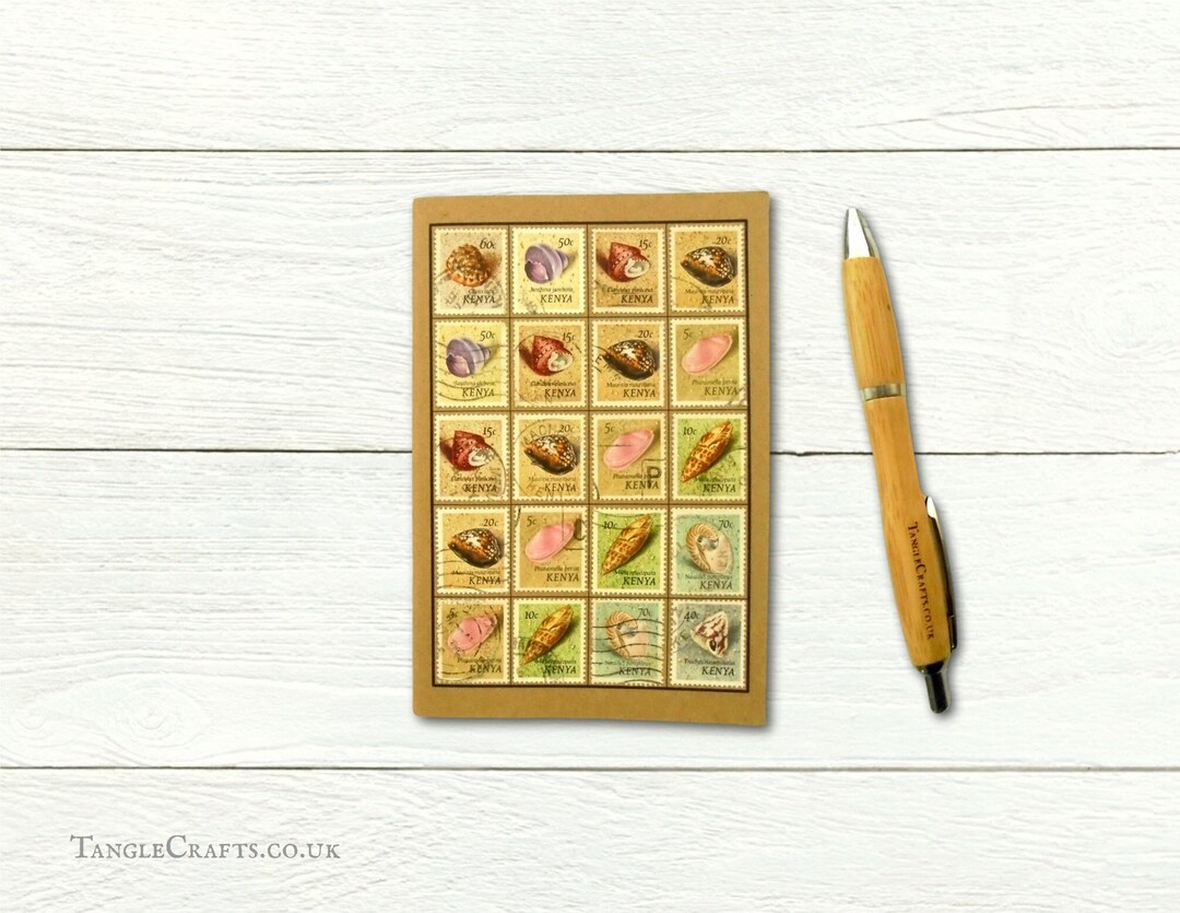 Sea Shell Notebook, Ruled Pages | Beachcomber Gift, Beach Vacation ...