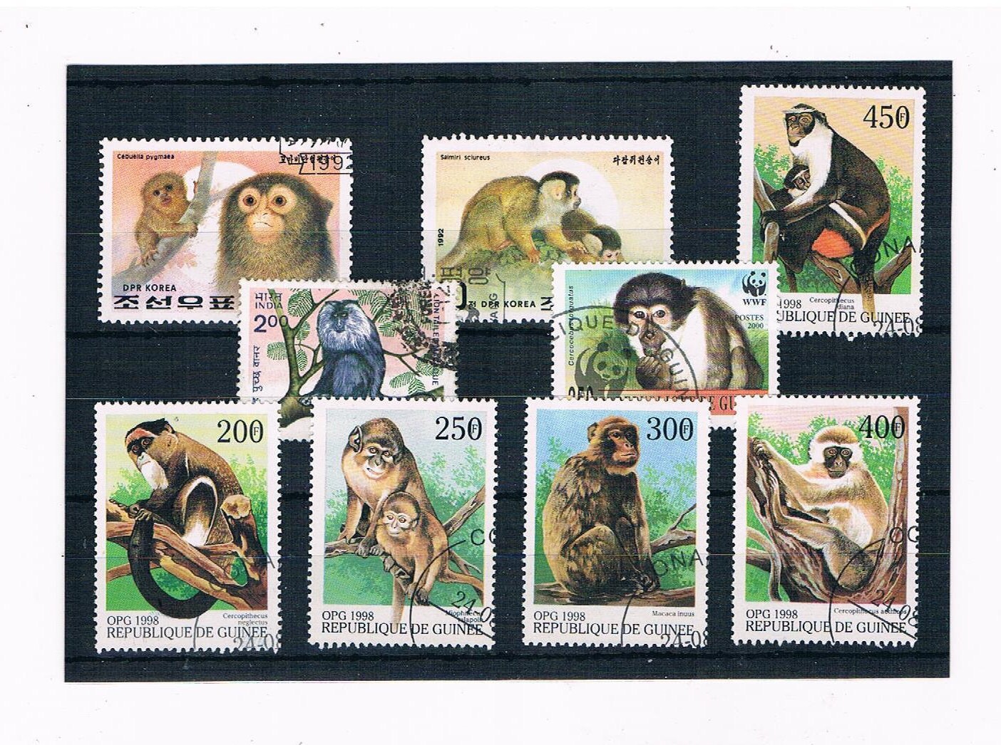 Monkey Postage Stamps - mixed countries inc part set from Guinea