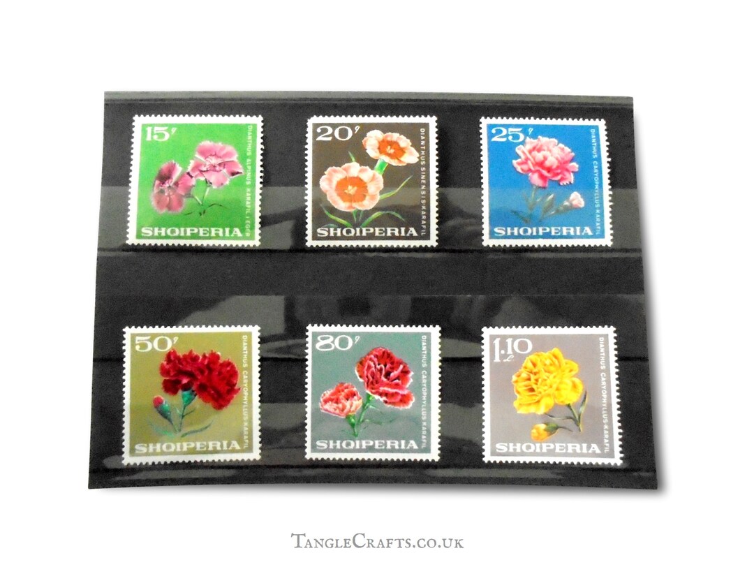 Carnation Varieties on Postage Stamps Full Set Albania 1968 - Etsy