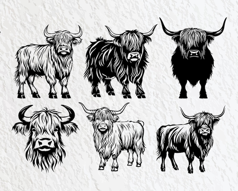 Highland Cow SVG Bundle: Silhouette Clipart, Vector Logo (PNG) - Etsy