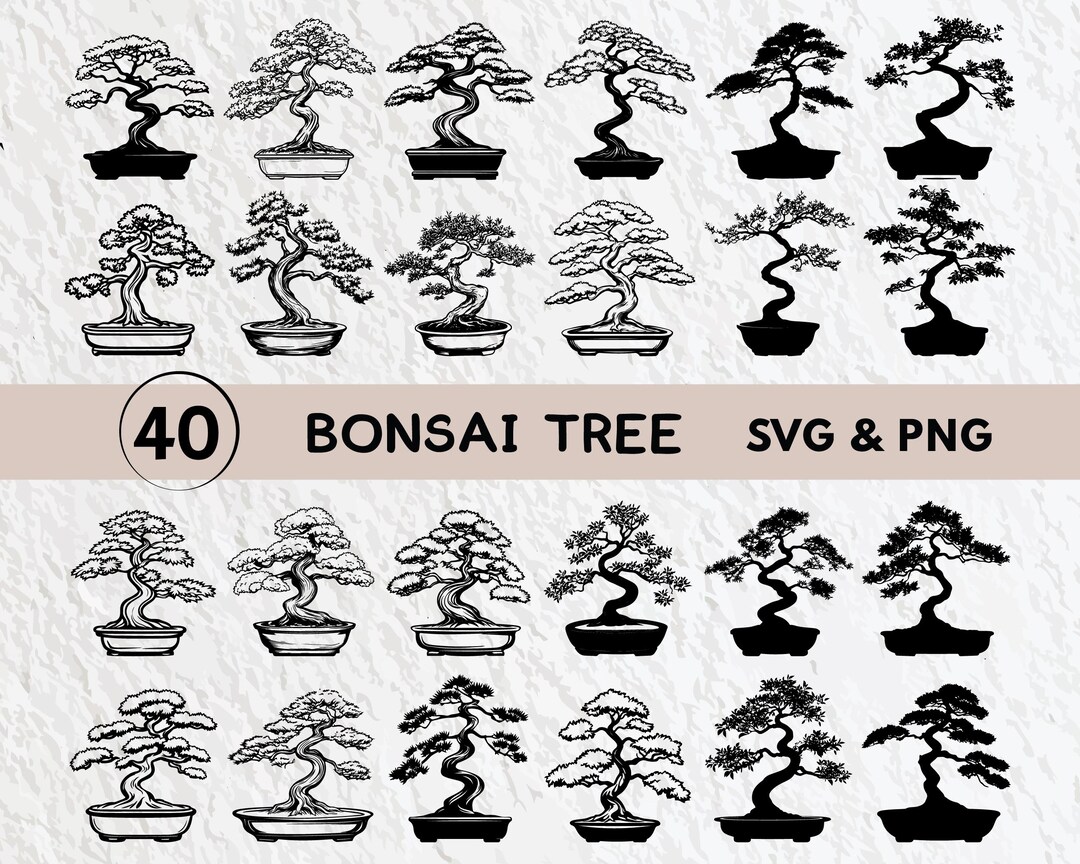 Bonsai Tree Svg Bundle, Bonsai Tree Silhouette, Bonsai Tree Clipart Png ...