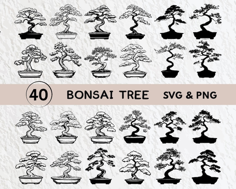 Bonsai Tree Svg Bundle, Bonsai Tree Silhouette, Bonsai Tree Clipart Png ...