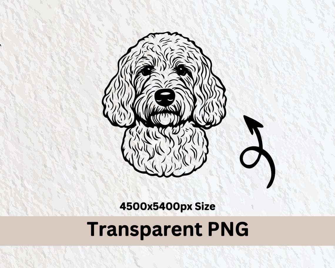 Cockapoo Dog Svg Bundle, Cockapoo Dog Silhouette, Cockapoo Dog Clipart ...
