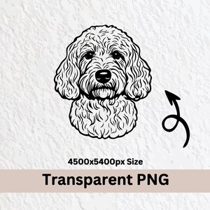Cockapoo Dog Svg Bundle, Cockapoo Dog Silhouette, Cockapoo Dog Clipart ...