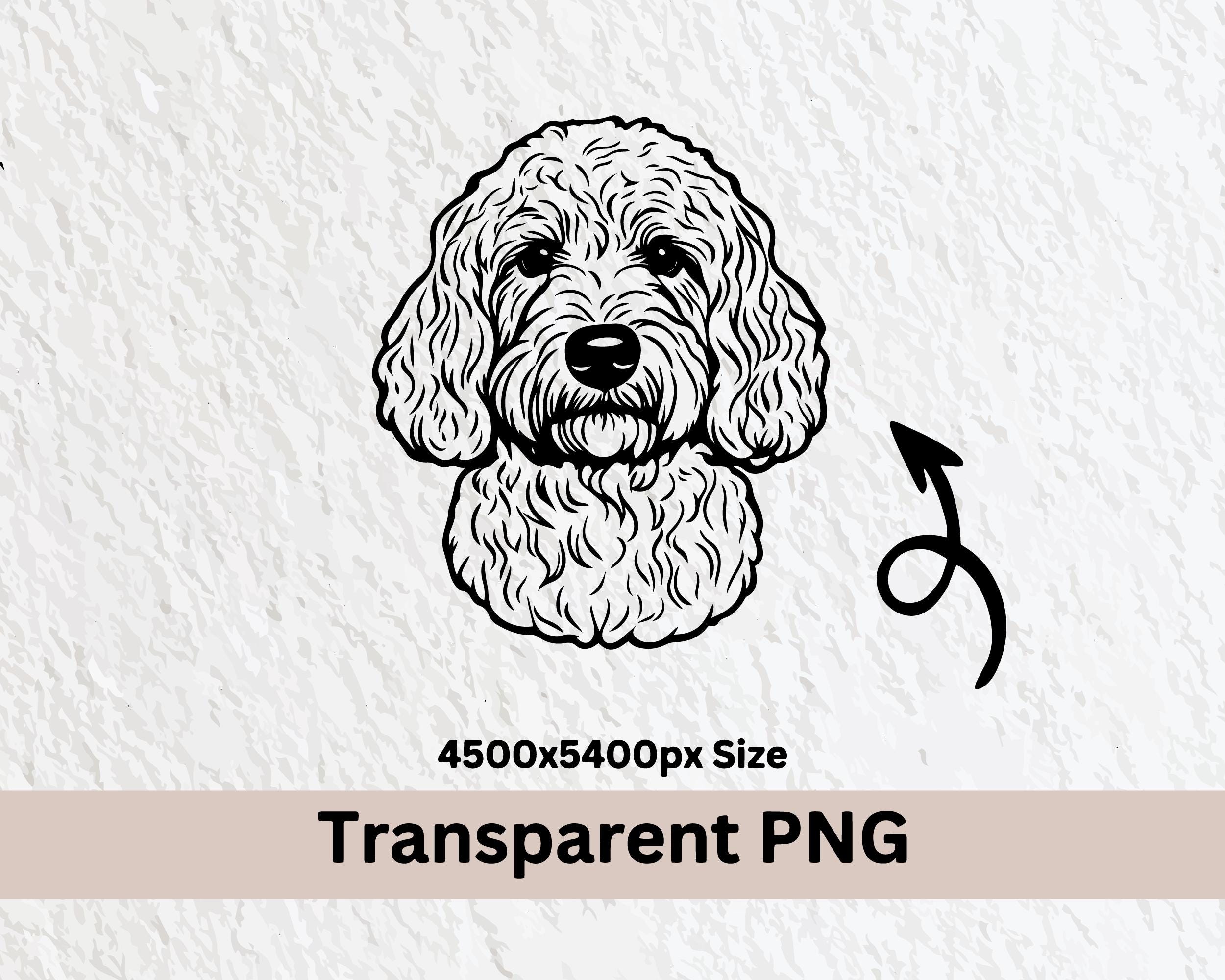 Cockapoo Dog Svg Bundle, Cockapoo Dog Silhouette, Cockapoo Dog Clipart ...