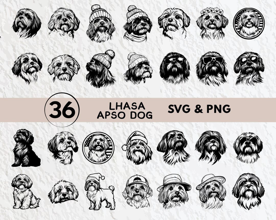 Lhasa Apso Dog Svg Bundle, Lhasa Apso Dog Silhouette, Lhasa Apso Dog ...