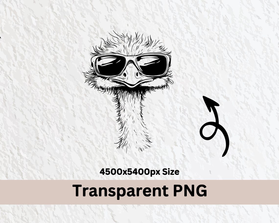 Emu Svg Bundle, Emu Silhouette, Emu Clipart Png, Emu Outline, Emu ...