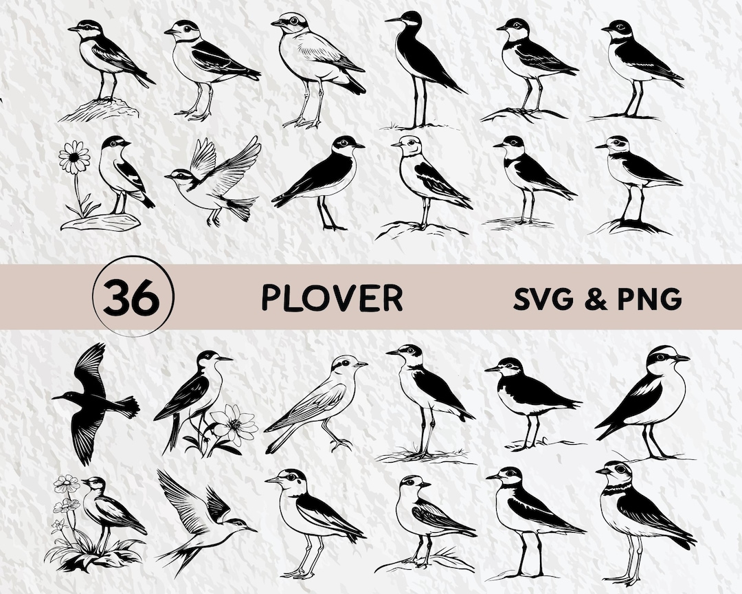 Plover Silhouette Svg, Plover Svg Bundle, Plover Breed Clipart, Plover ...