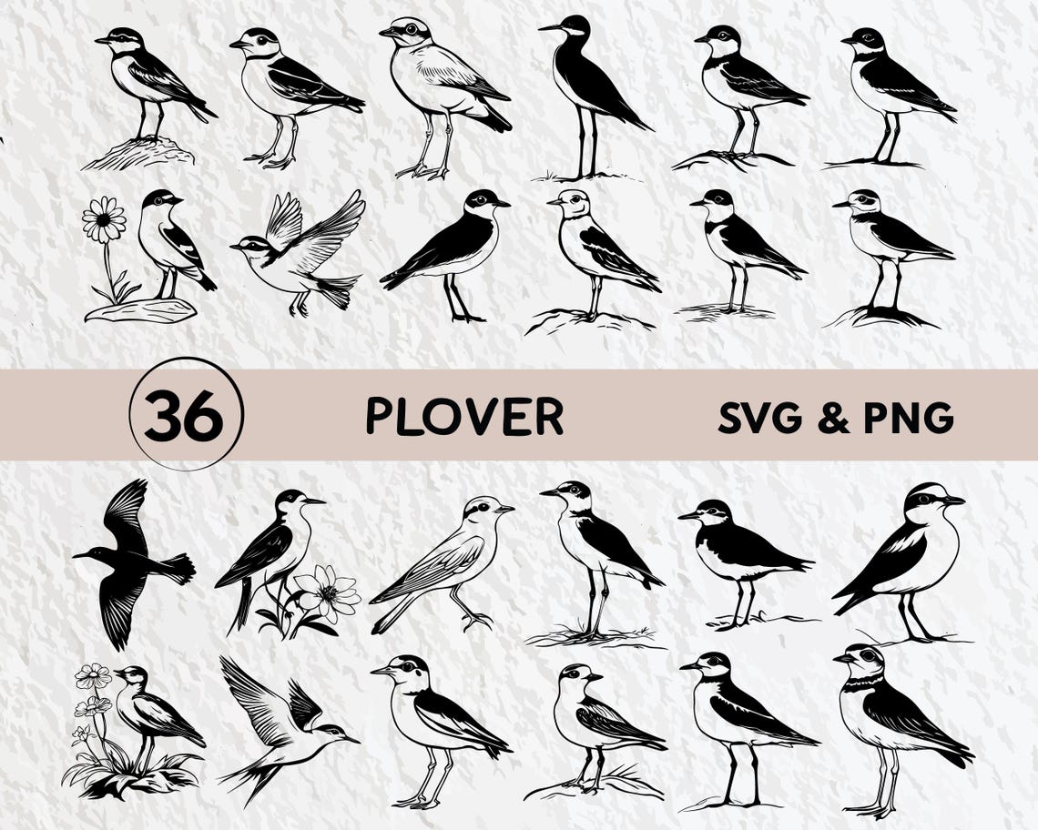 Plover Silhouette SVG Bundle: Bird Clipart, Decal, Vector (digital ...