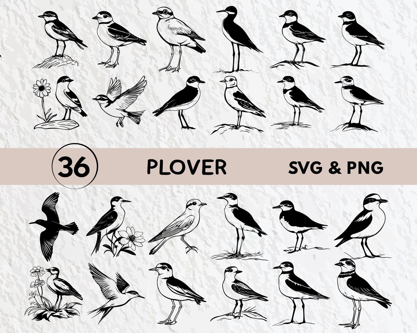 Plover Silhouette SVG Bundle: Bird Clipart, Decal, Vector (digital ...