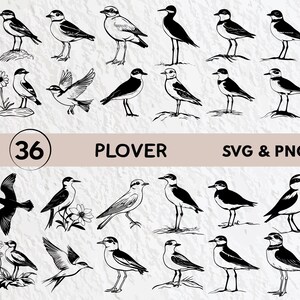 Plover Silhouette SVG Bundle: Bird Clipart, Decal, Vector (digital ...