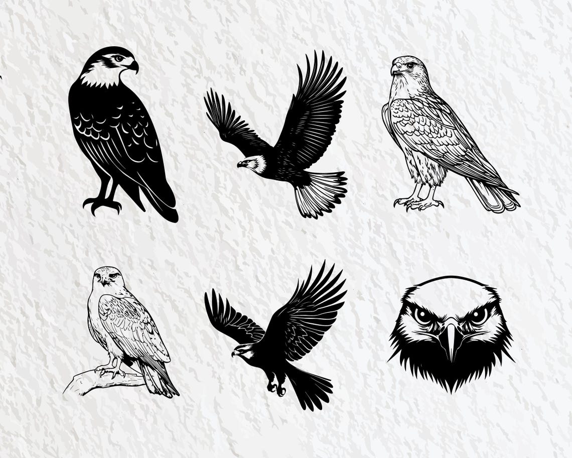 Hawk Svg Bundle, Hawk Silhouette, Hawk Clipart Png, Hawk Outline, Hawk ...