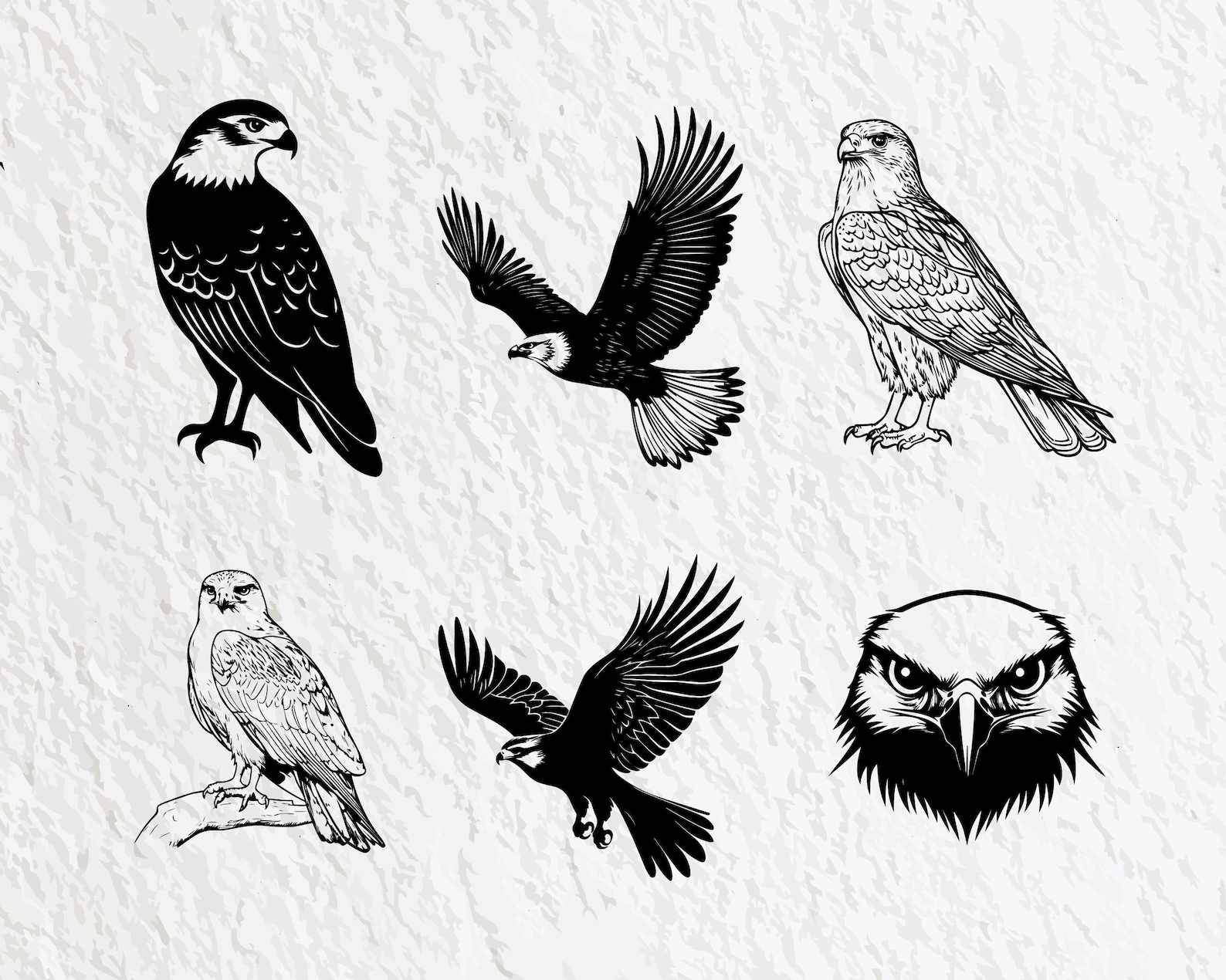 Hawk Svg Bundle, Hawk Silhouette, Hawk Clipart Png, Hawk Outline, Hawk ...