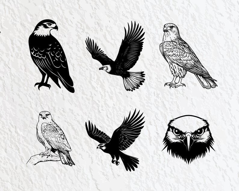 Hawk Svg Bundle, Hawk Silhouette, Hawk Clipart Png, Hawk Outline, Hawk ...