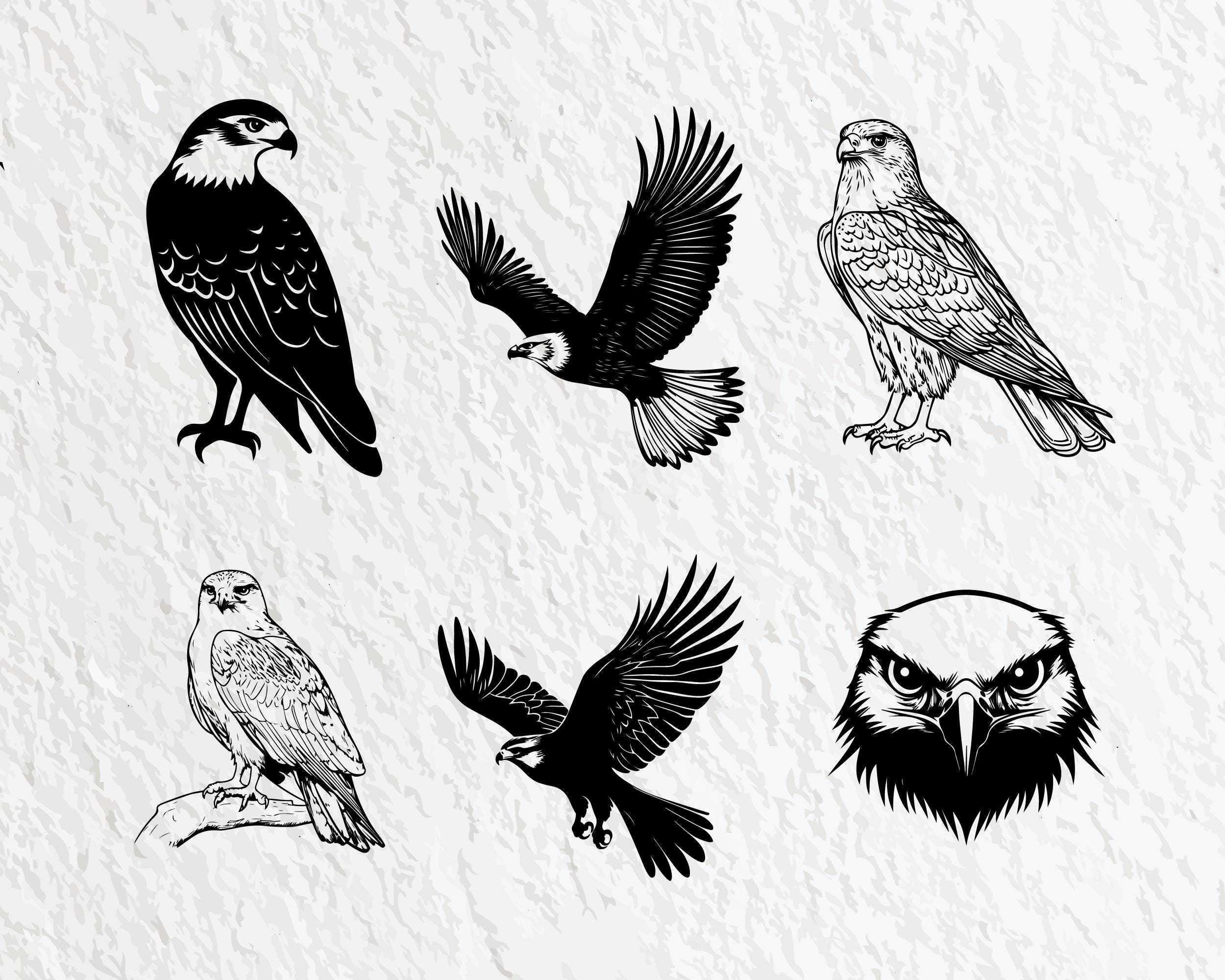 Hawk Svg Bundle, Hawk Silhouette, Hawk Clipart Png, Hawk Outline, Hawk ...