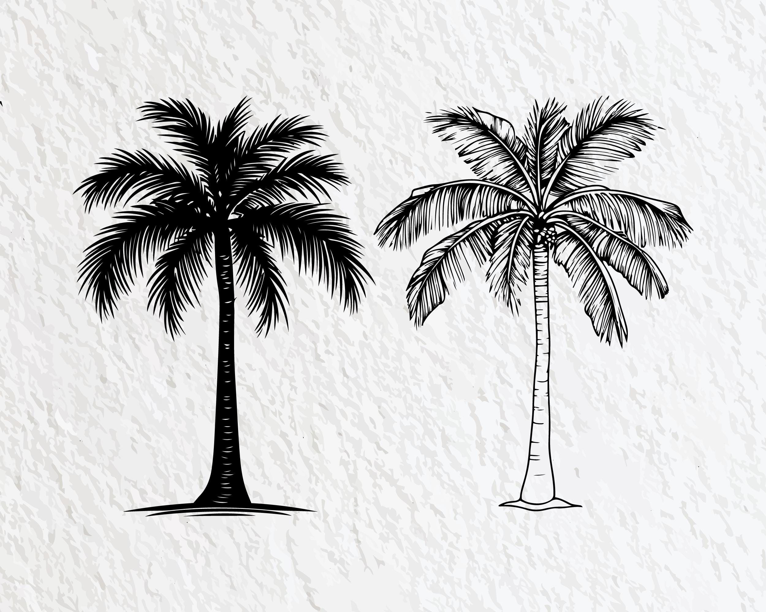 Palm Tree SVG Bundle: Silhouette Clipart, Vector Logo (PNG, Cricut ...