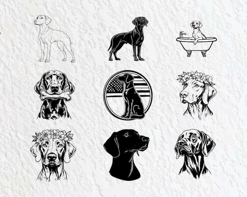 Vizsla Silhouette SVG Bundle: Dog Clipart, Vector Cut Files (PNG) - Etsy