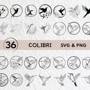Hummingbird SVG Bundle: Colibri Silhouette, Logo, Clipart (PNG, Cricut ...